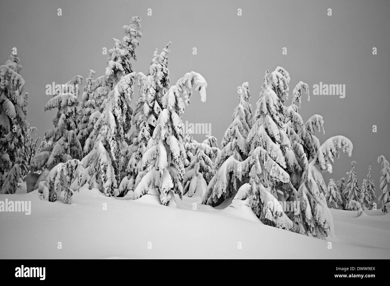 Snow cabin mountain Black and White Stock Photos & Images - Alamy
