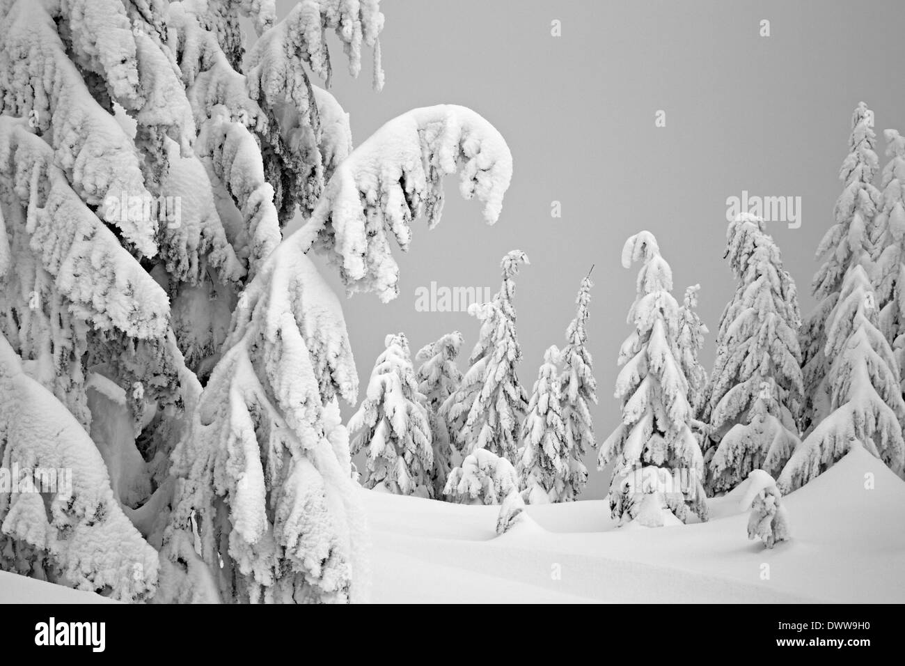 Wenatchee, washington Black and White Stock Photos & Images - Alamy