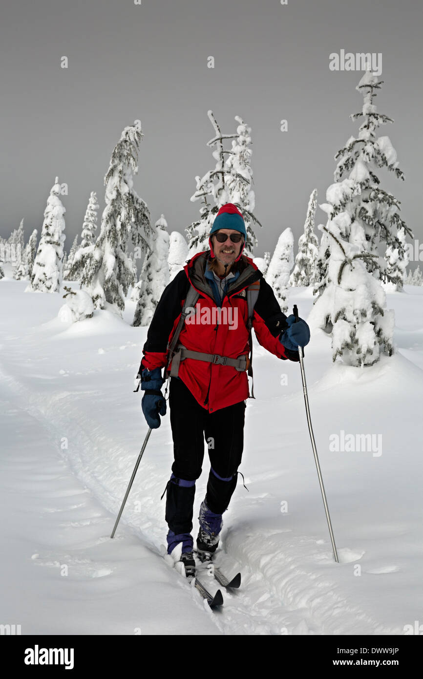 WASHINGTON - Cross-country skier among snow covered trees at the summit ...