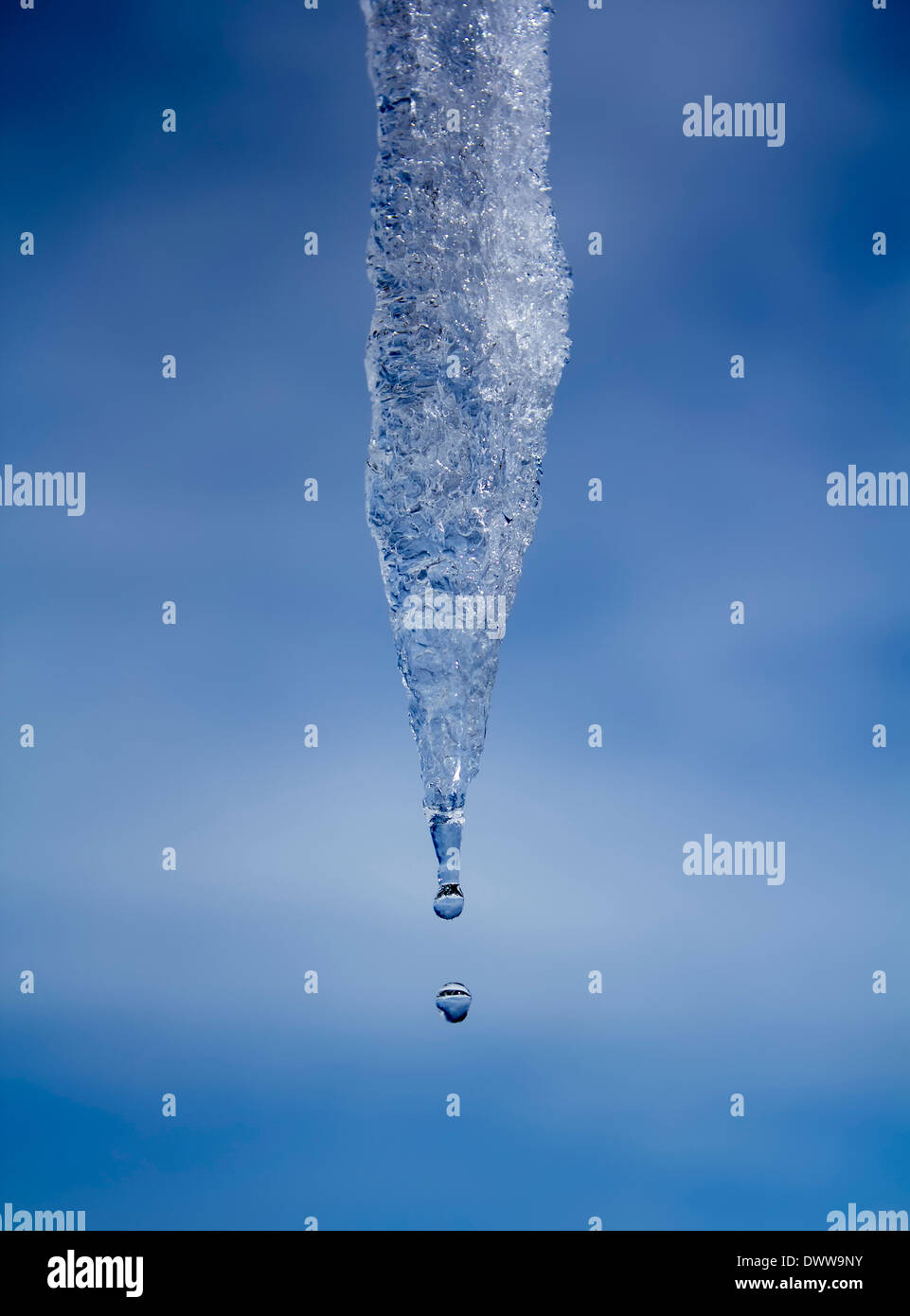 Frozen dripping water hi-res stock photography and images - Alamy