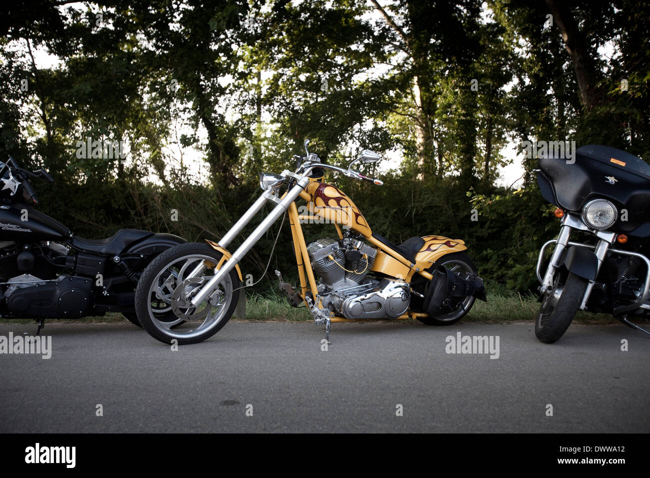 Yellow Harley Davidson parked on a road Stock Photo - Alamy