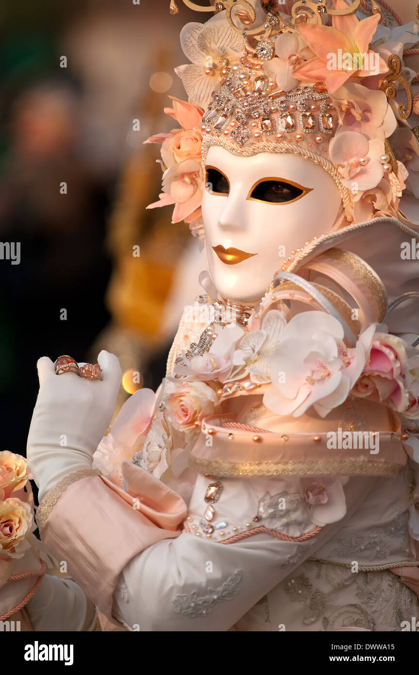 Venice carnival pageant hi-res stock photography and images - Alamy