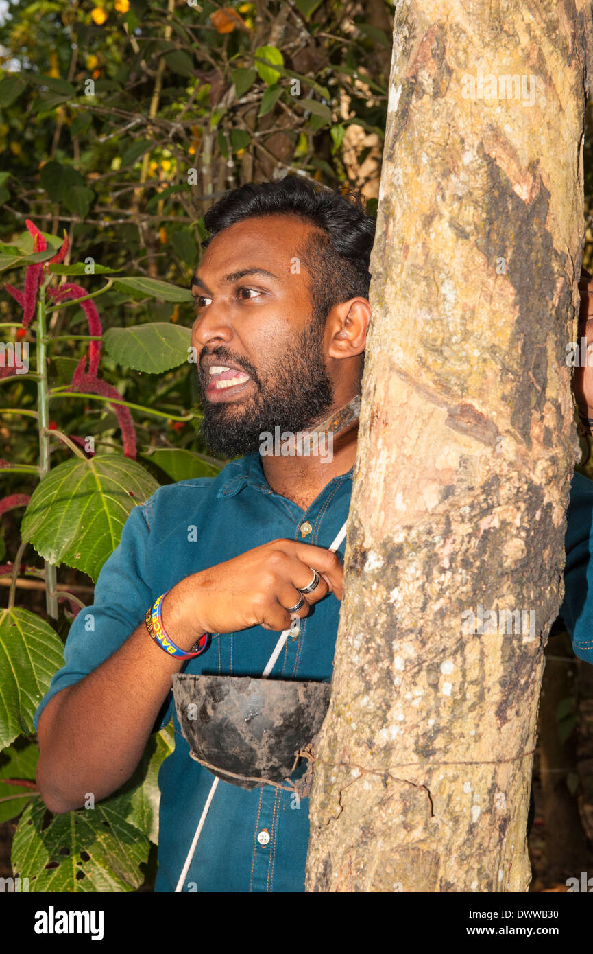 South Southern India Kerala Thekkady Periyar National Park scenery ...