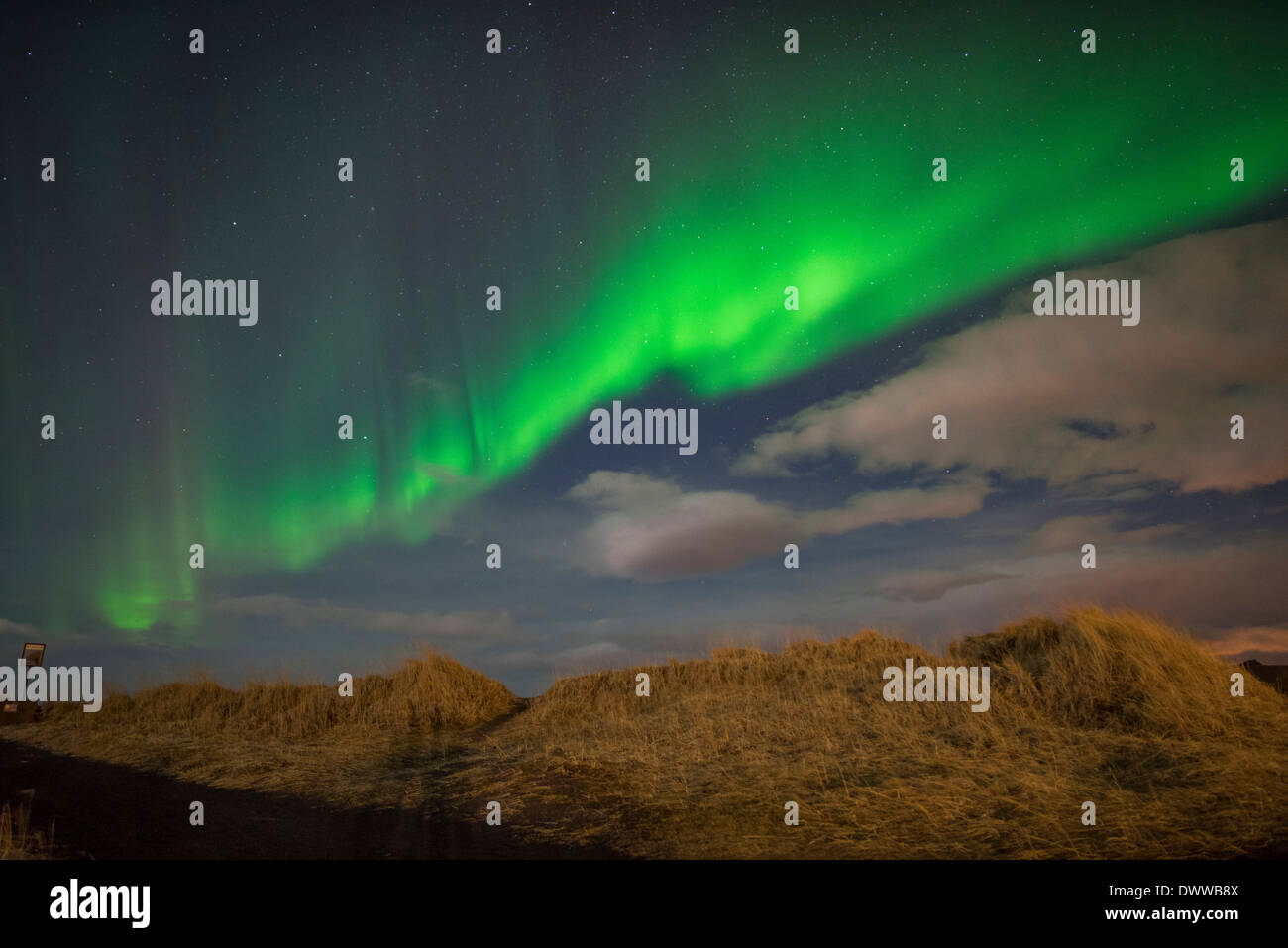 Aurora Borealis or Northern Lights, Reykjavik, Iceland Stock Photo - Alamy