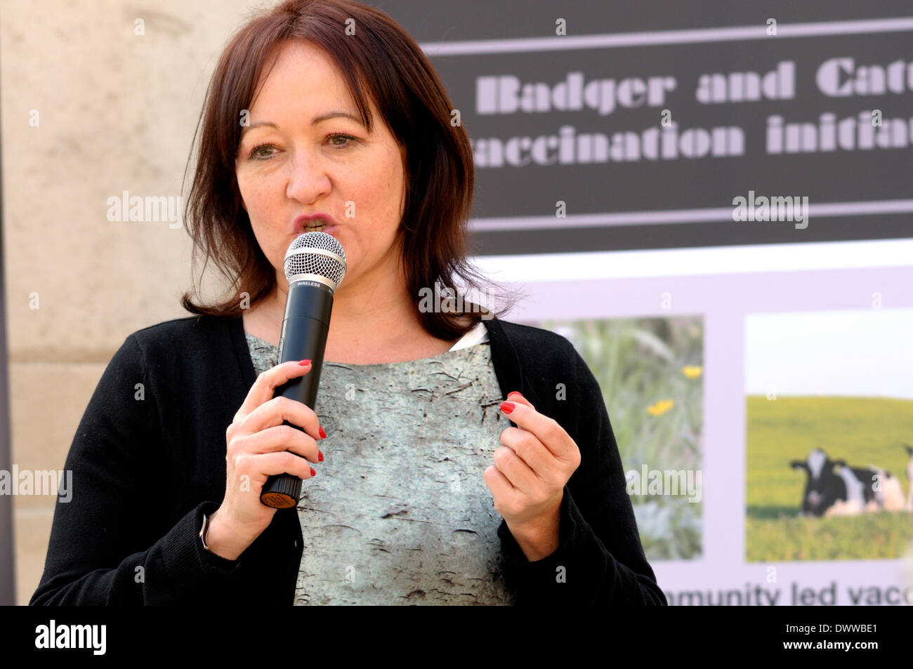 Kerry McCarthy MP (Bristol East, Labour) speaking at Anti badger cull ...