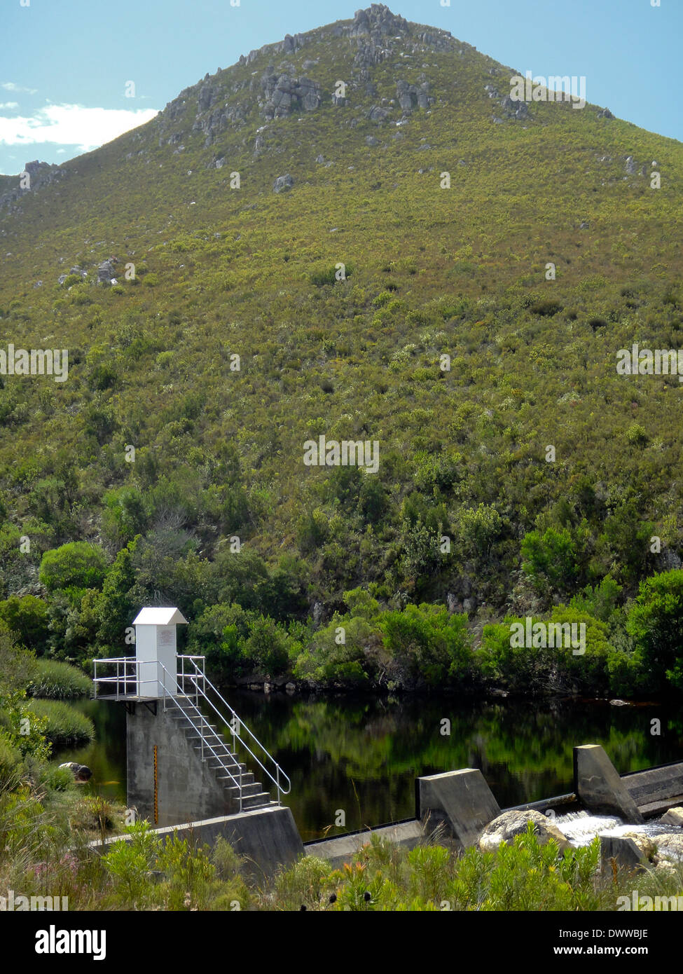 The Palmiet river runs through the Cape floral kingdom and the ...