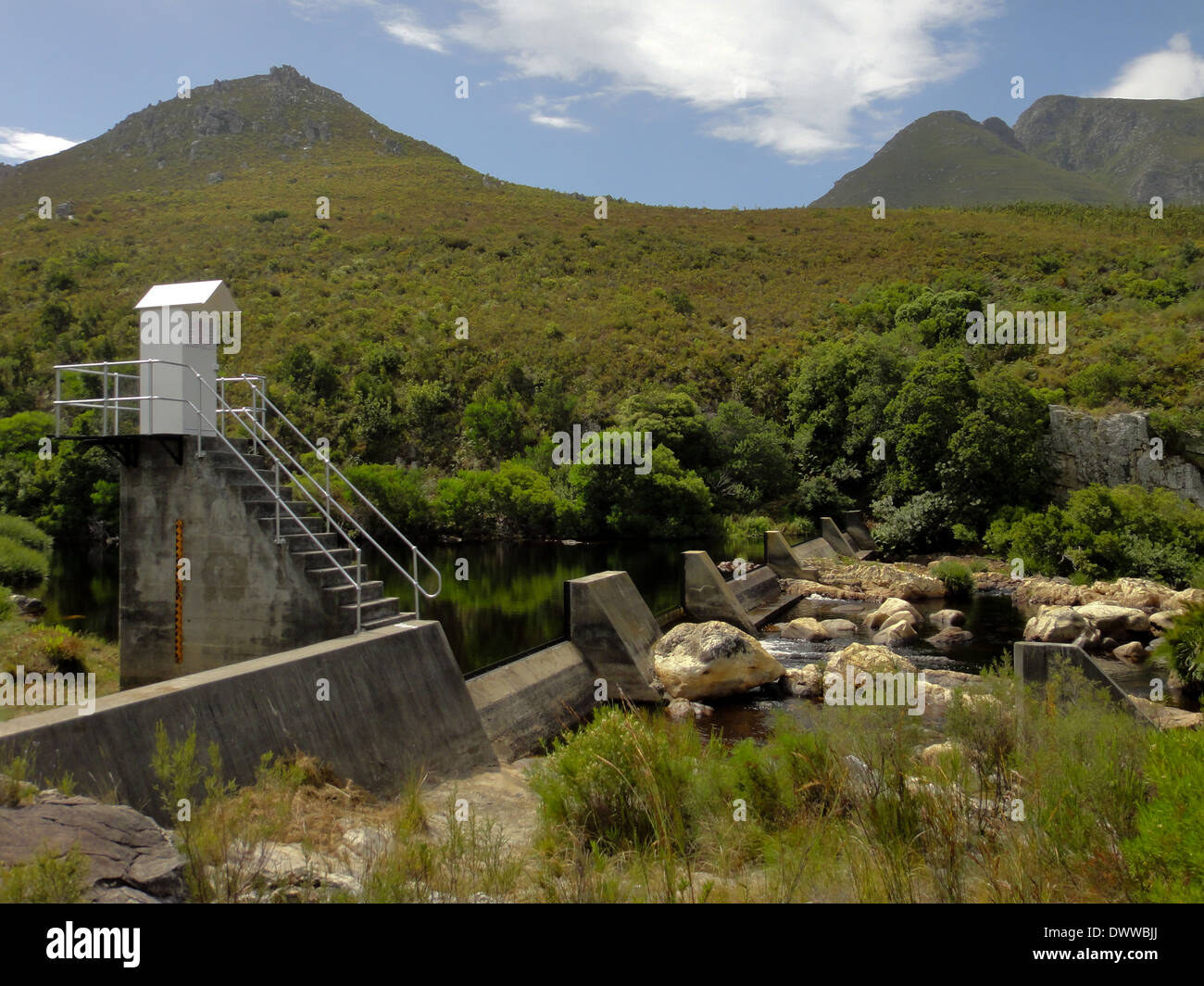 The Palmiet river runs through the Cape floral kingdom and the ...