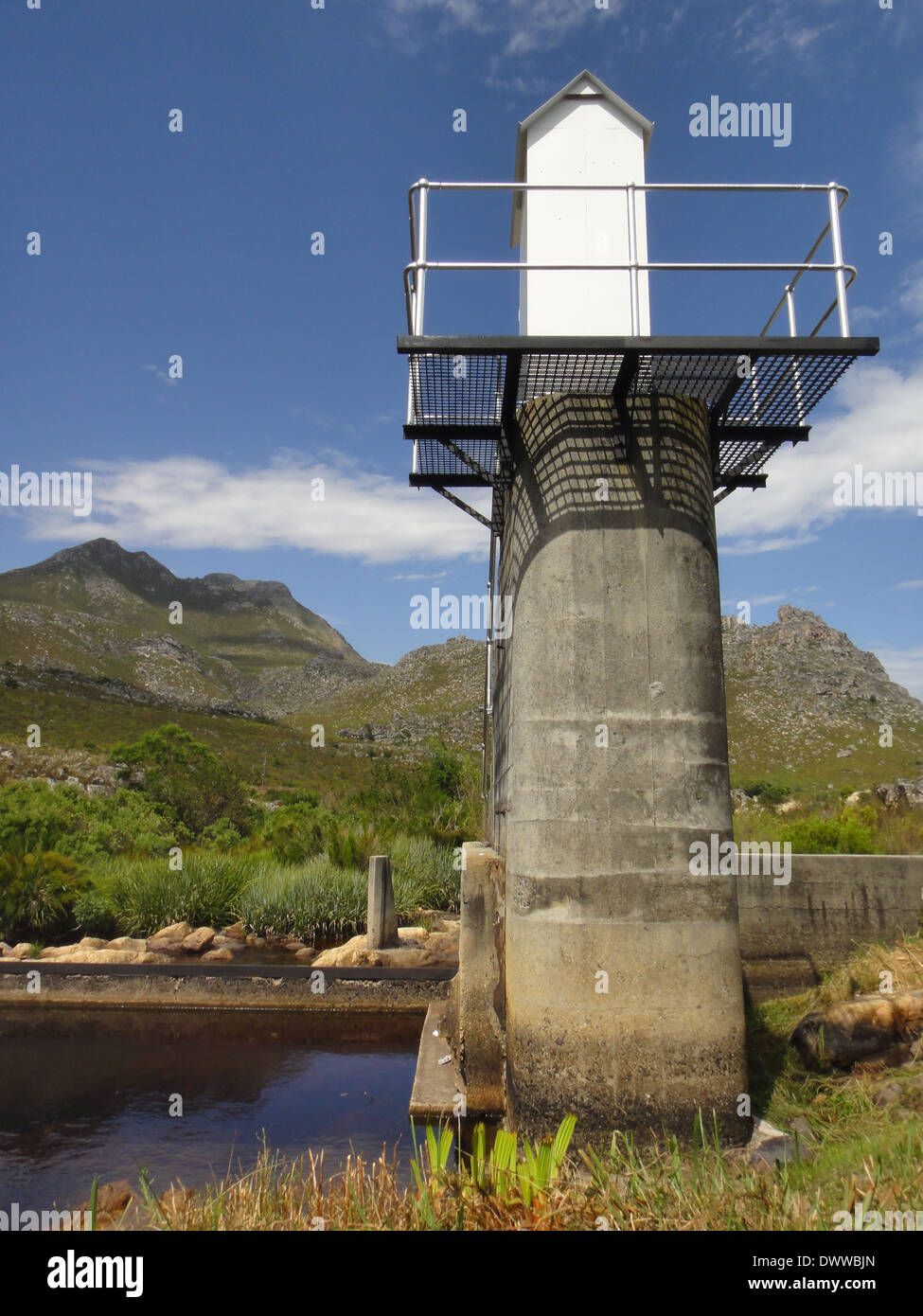 Palmiet hi-res stock photography and images - Alamy