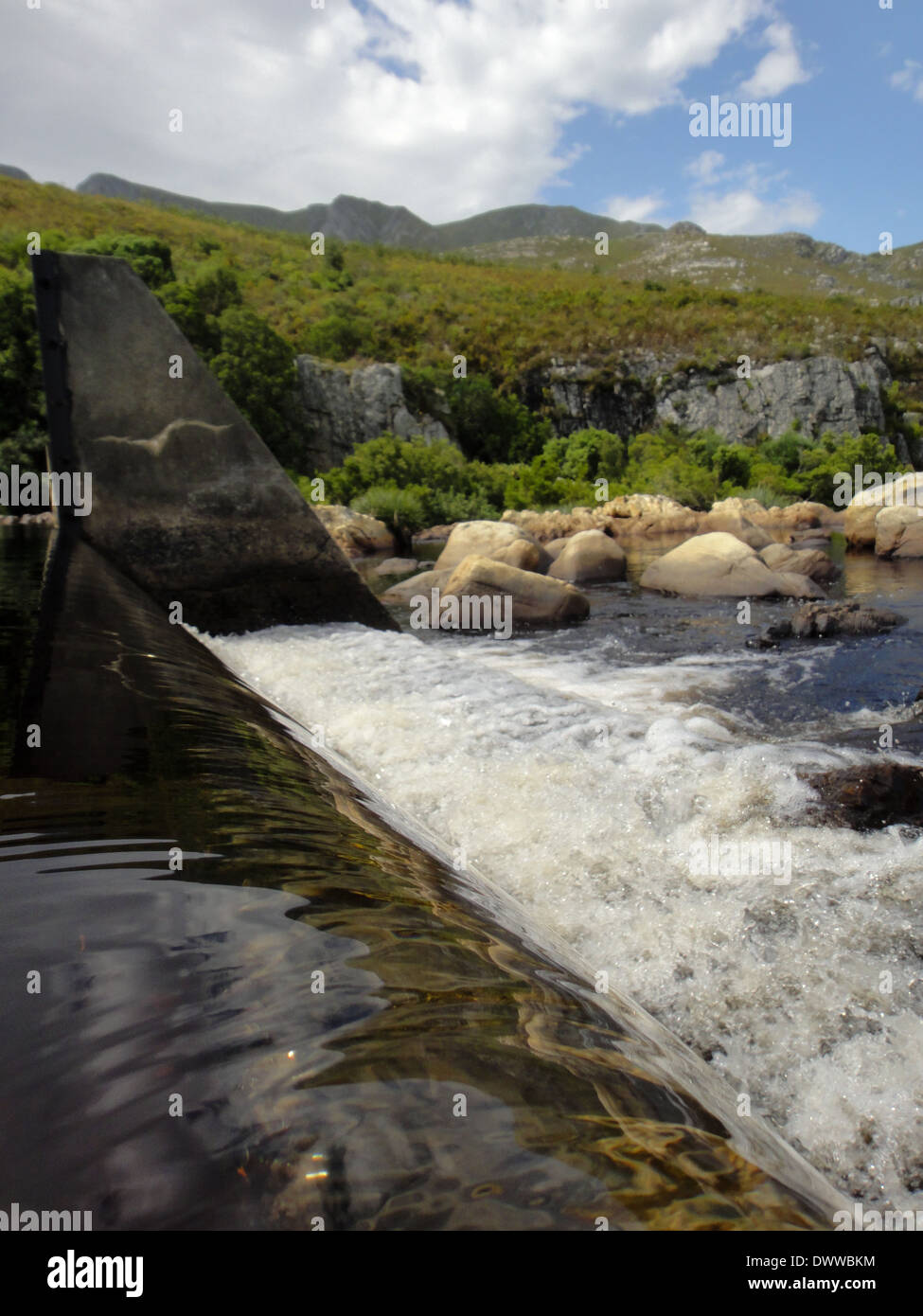 Palmiet hi-res stock photography and images - Alamy