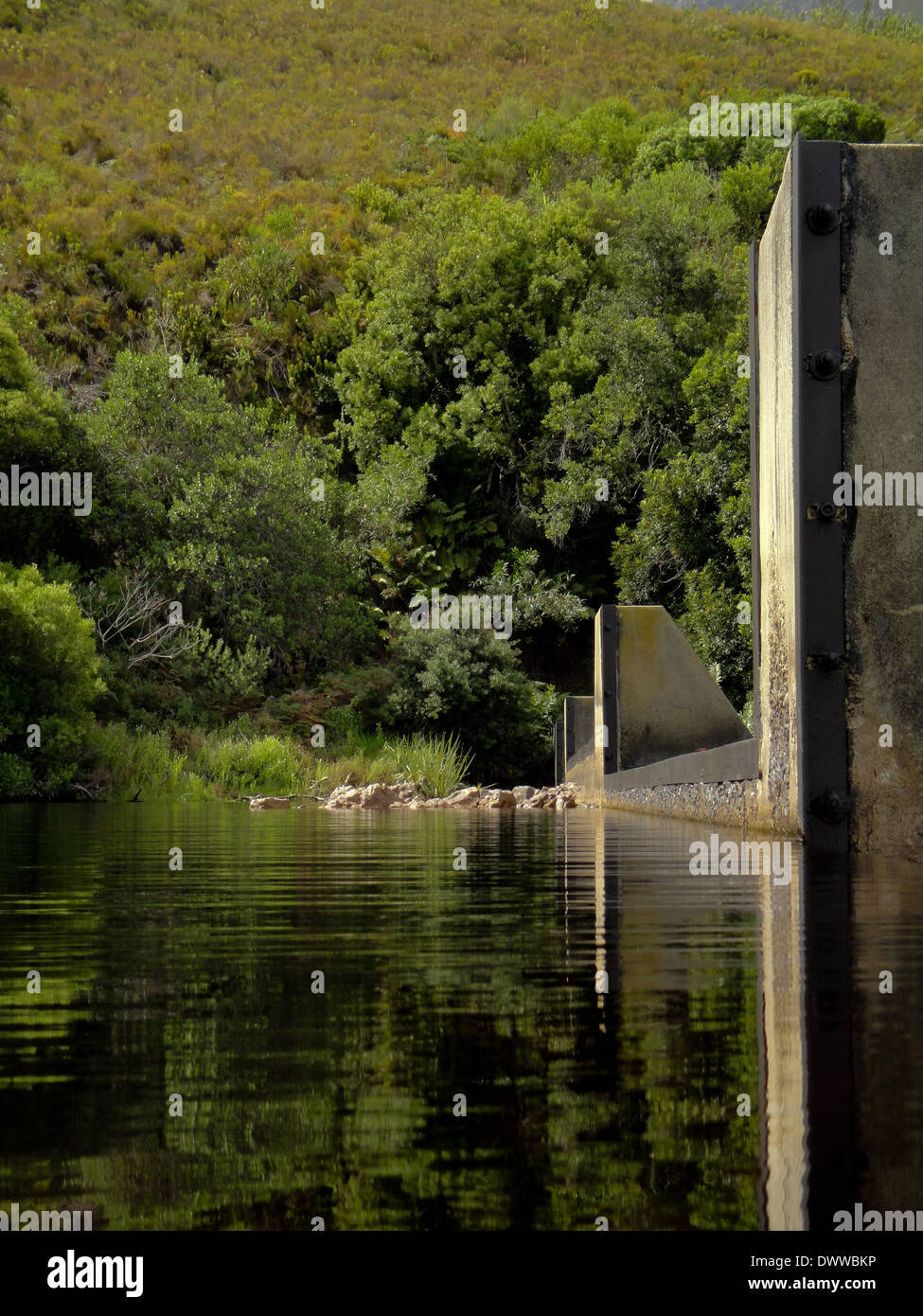 The Palmiet river runs through the Cape floral kingdom and the ...
