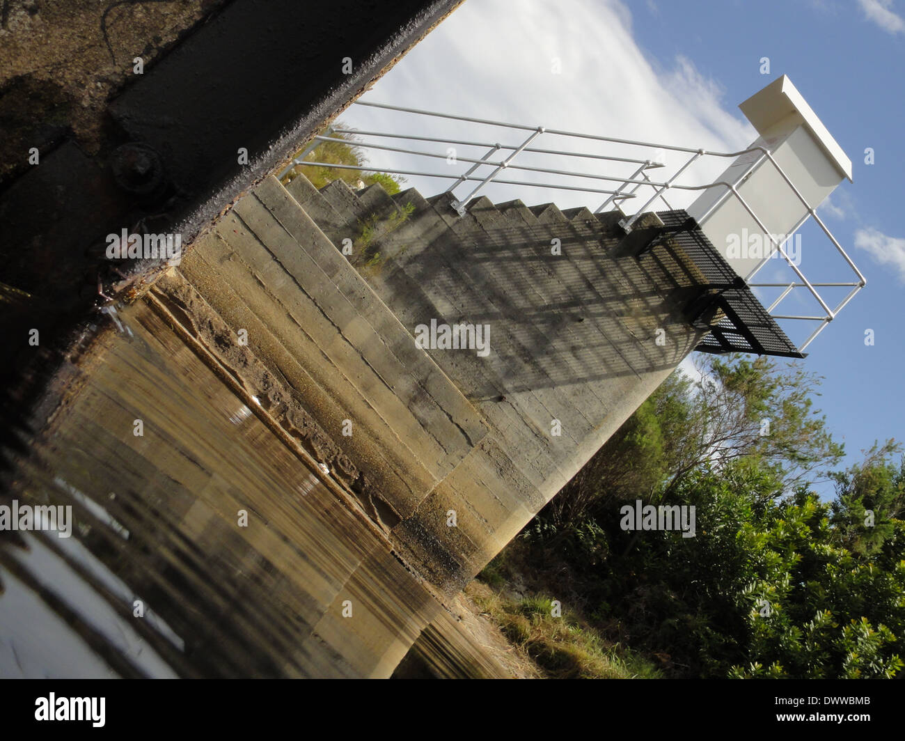 Palmiet hi-res stock photography and images - Alamy