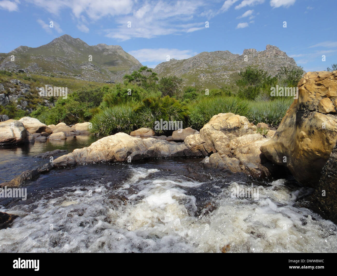 The Palmiet river runs through the Cape floral kingdom and the ...
