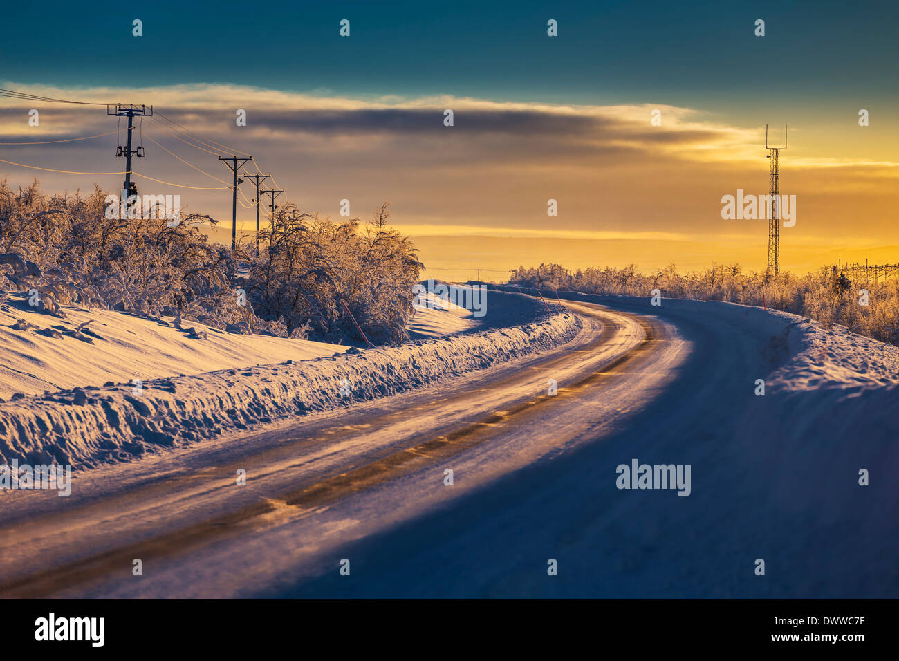 Road with power lines and trees in the frozen landscape. Cold ...