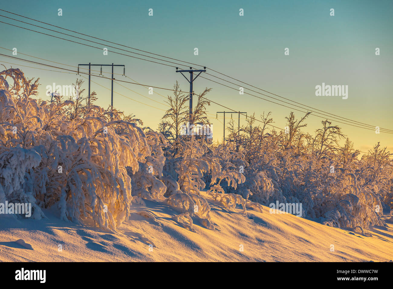 Powerlines power lines hi-res stock photography and images - Alamy