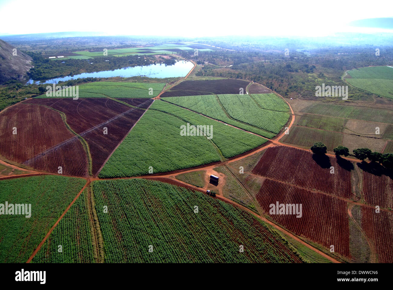 Mozambique commercial farm Stock Photo - Alamy