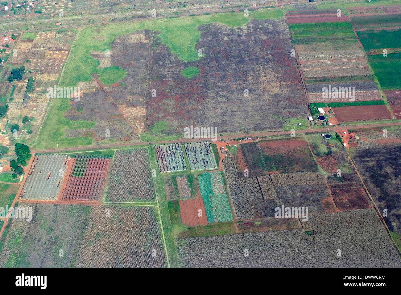 Zimbabwe farms seized by mugabe and ruined Stock Photo - Alamy