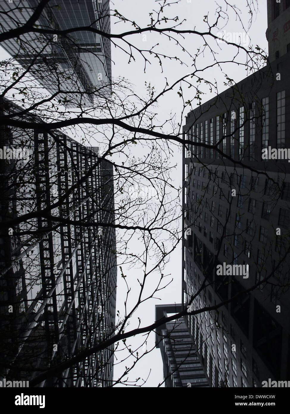 Tree with Business building Stock Photo - Alamy