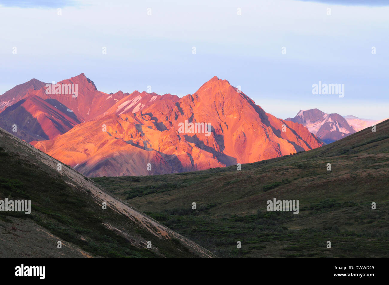 Denali national park summer hi-res stock photography and images - Alamy