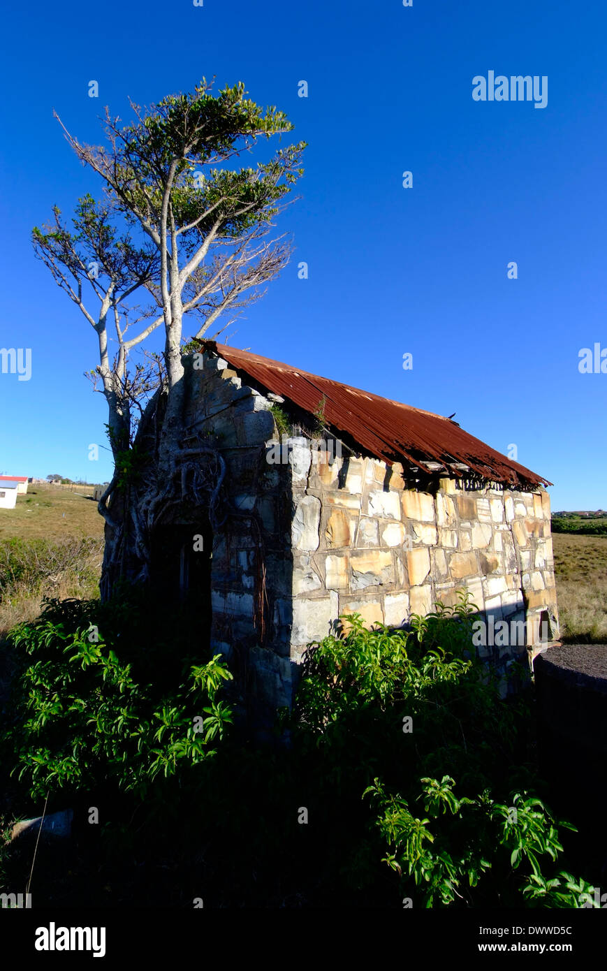 Old farm ruin in the Eastern Cape Stock Photo - Alamy