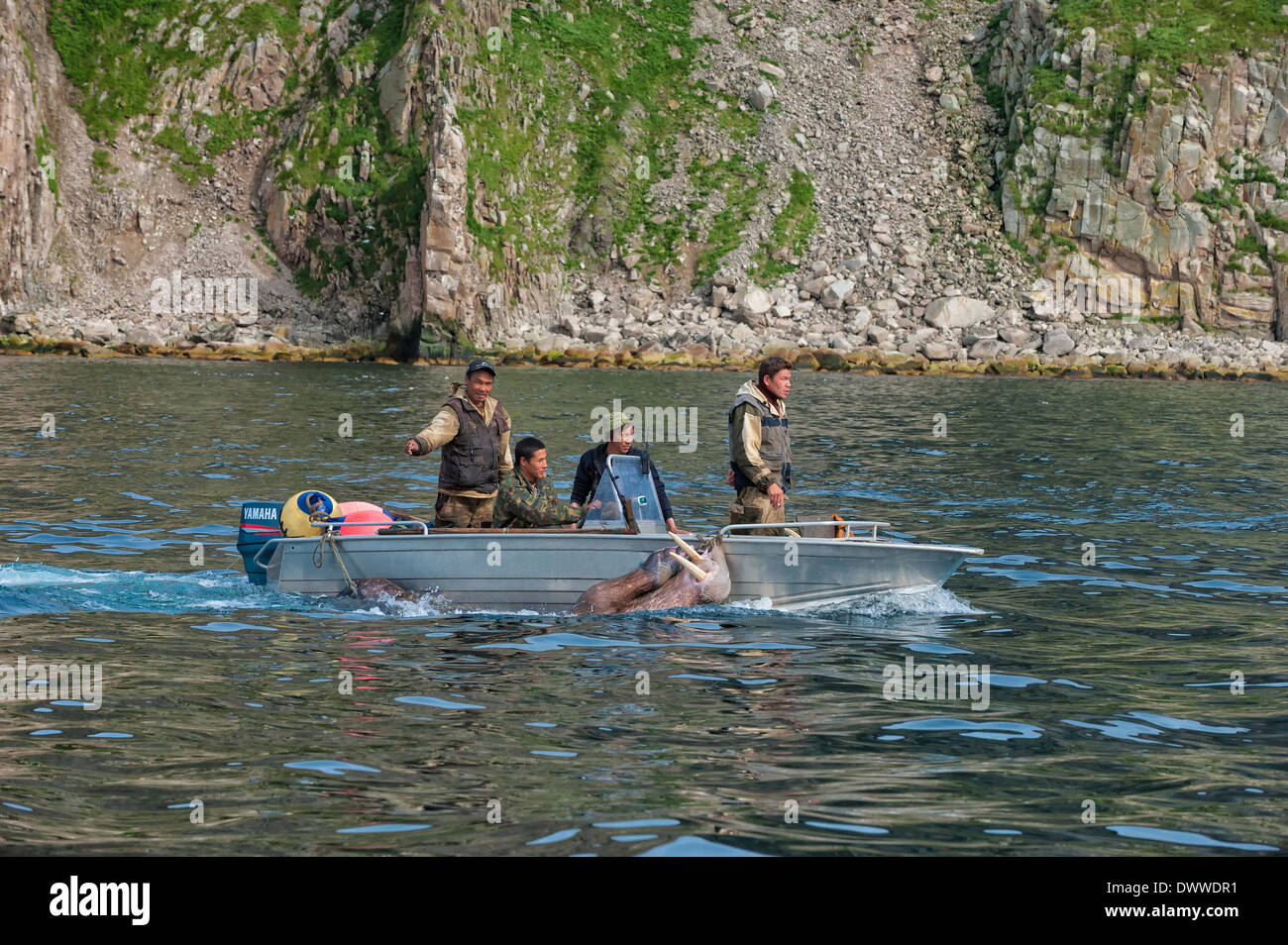 Walrus hunters, Cape Achen, Chukotka, Russia Stock Photo - Alamy