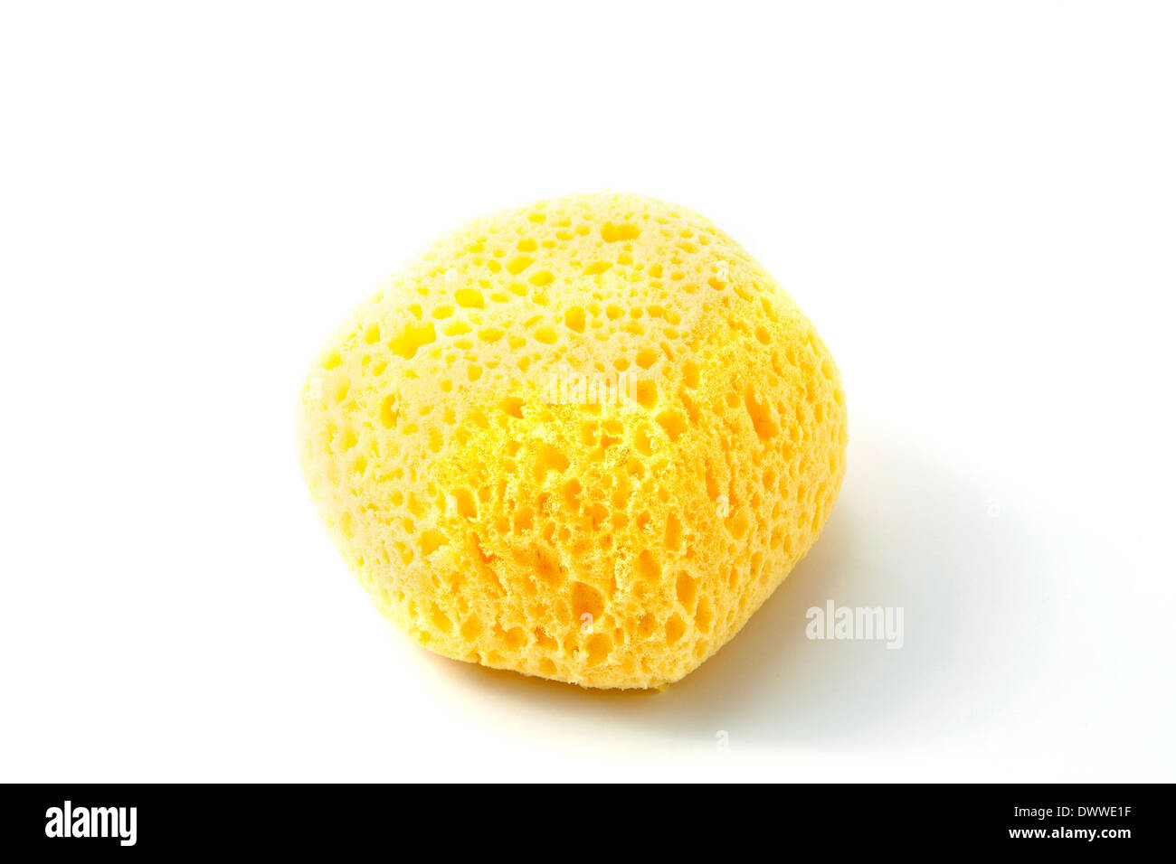 Yellow porous sponge on a white background Stock Photo - Alamy