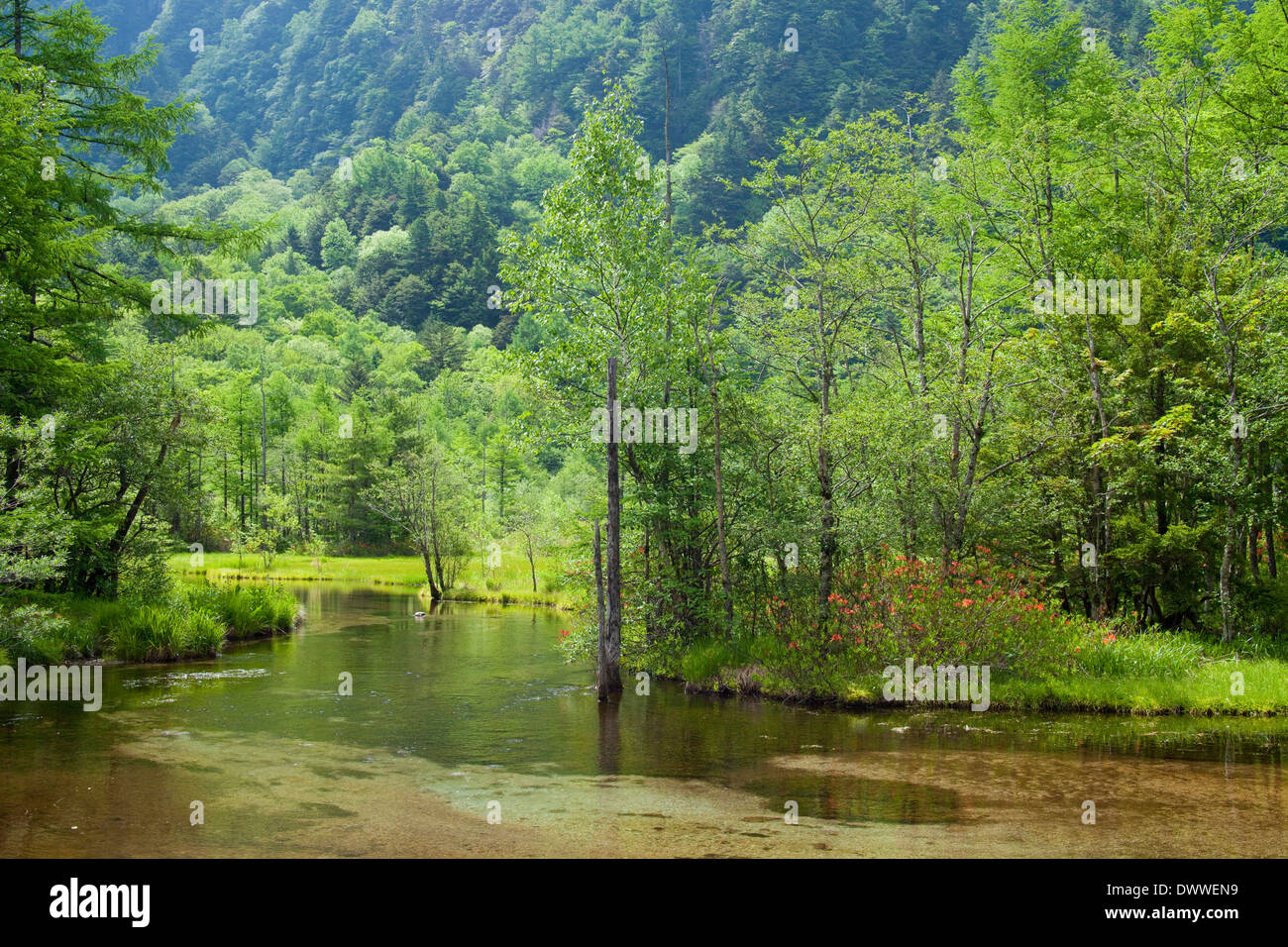Japan summer river hi-res stock photography and images - Alamy
