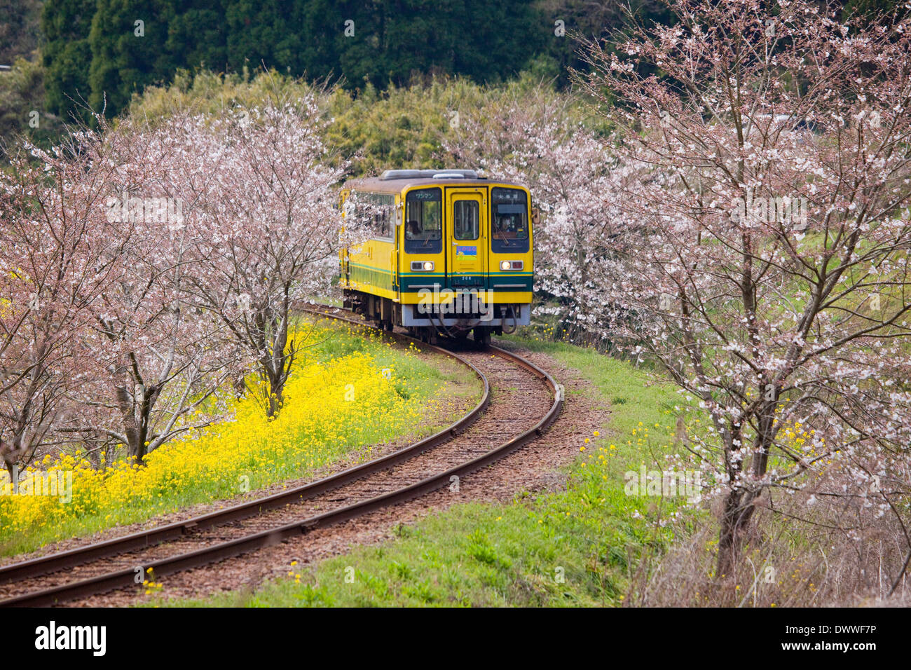 Local train, Chiba Prefecture, Japan Stock Photo - Alamy