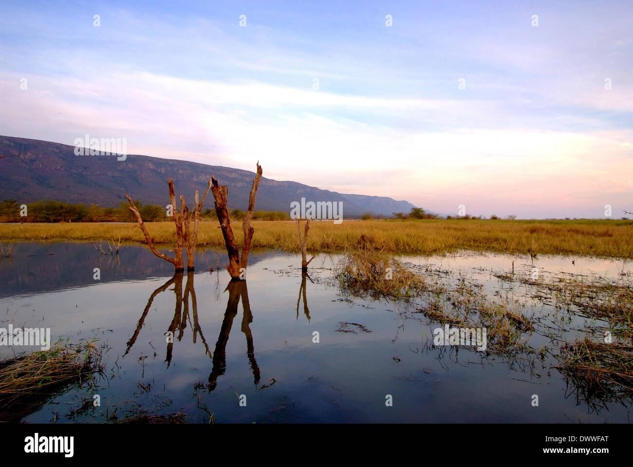 Jozini hi-res stock photography and images - Alamy