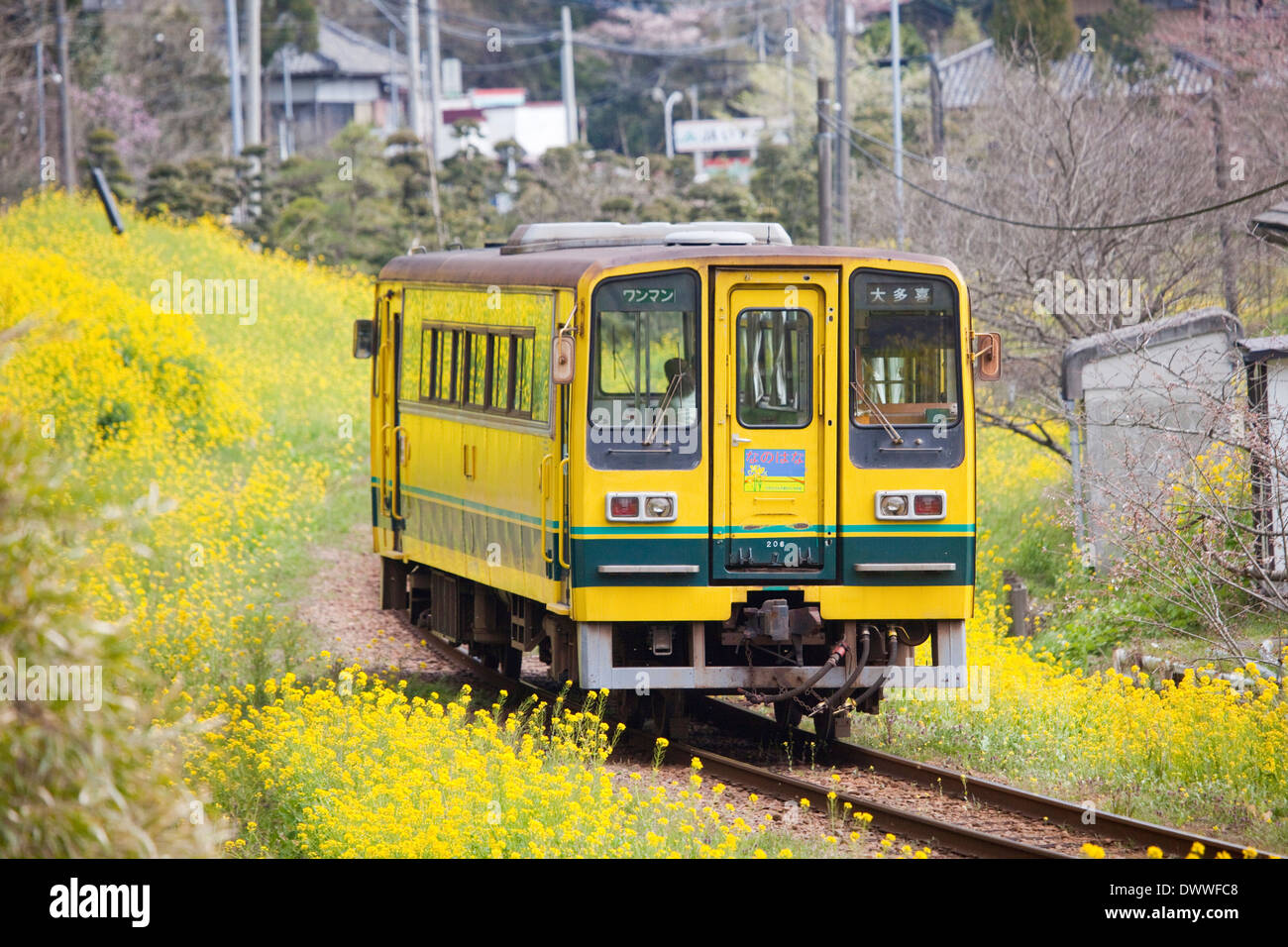 Local train, Chiba Prefecture, Japan Stock Photo - Alamy