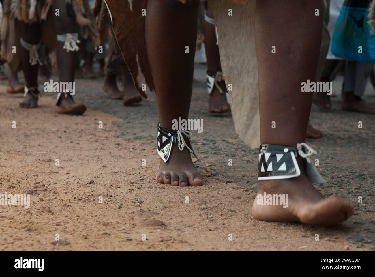 Members of the Shembe faith (Nazareth Baptist Church), a religious ...