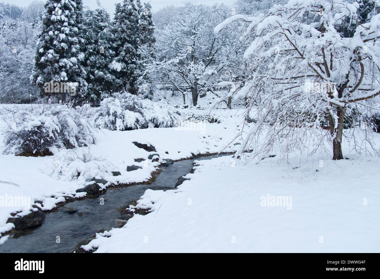 Snow covered landscape Stock Photo - Alamy