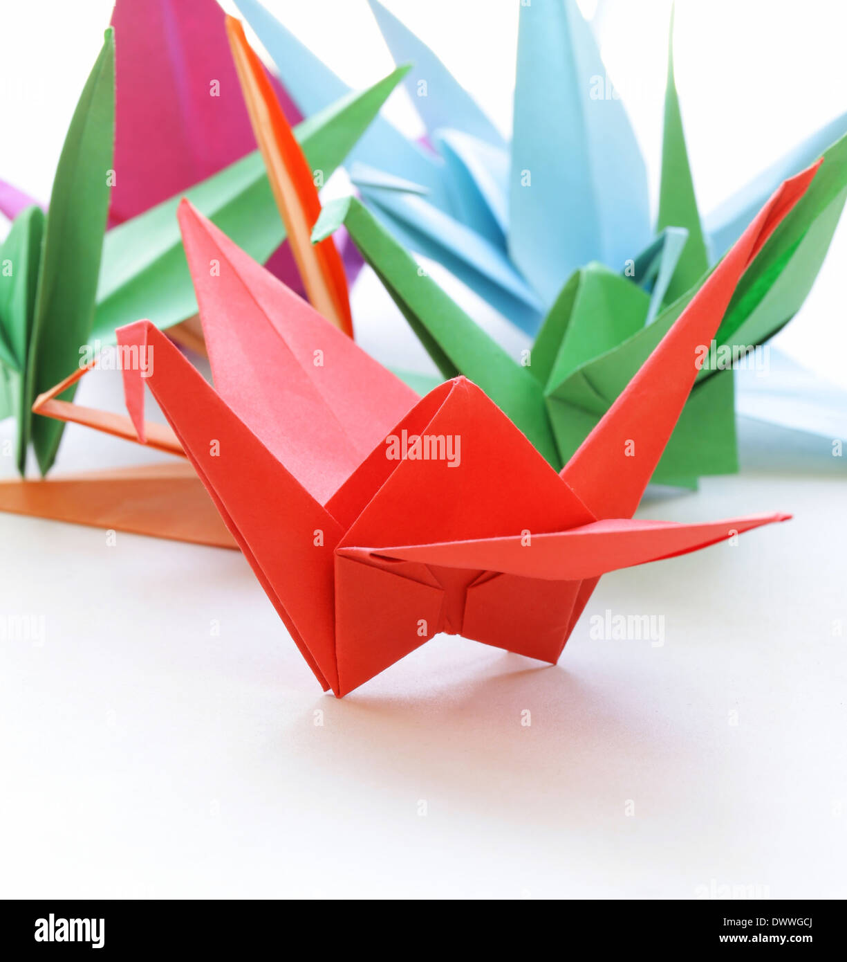 colorful paper origami birds on a white background Stock Photo - Alamy