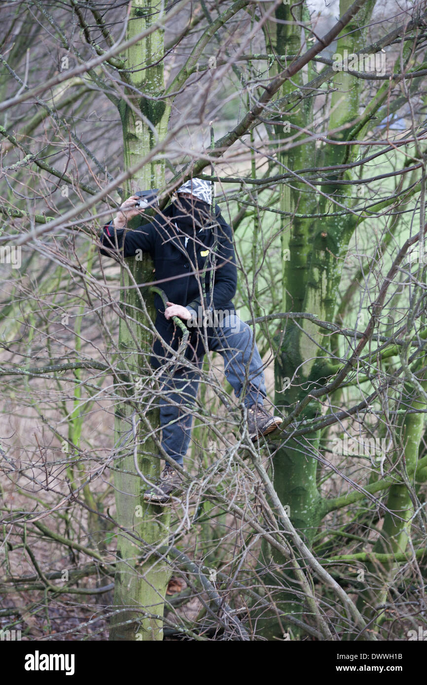 Anti tree climbing hi-res stock photography and images - Alamy