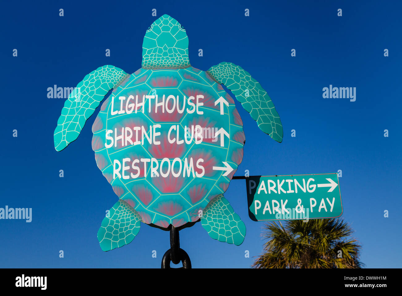 Sea turtle sign on Tybee Island, Georgia Stock Photo - Alamy