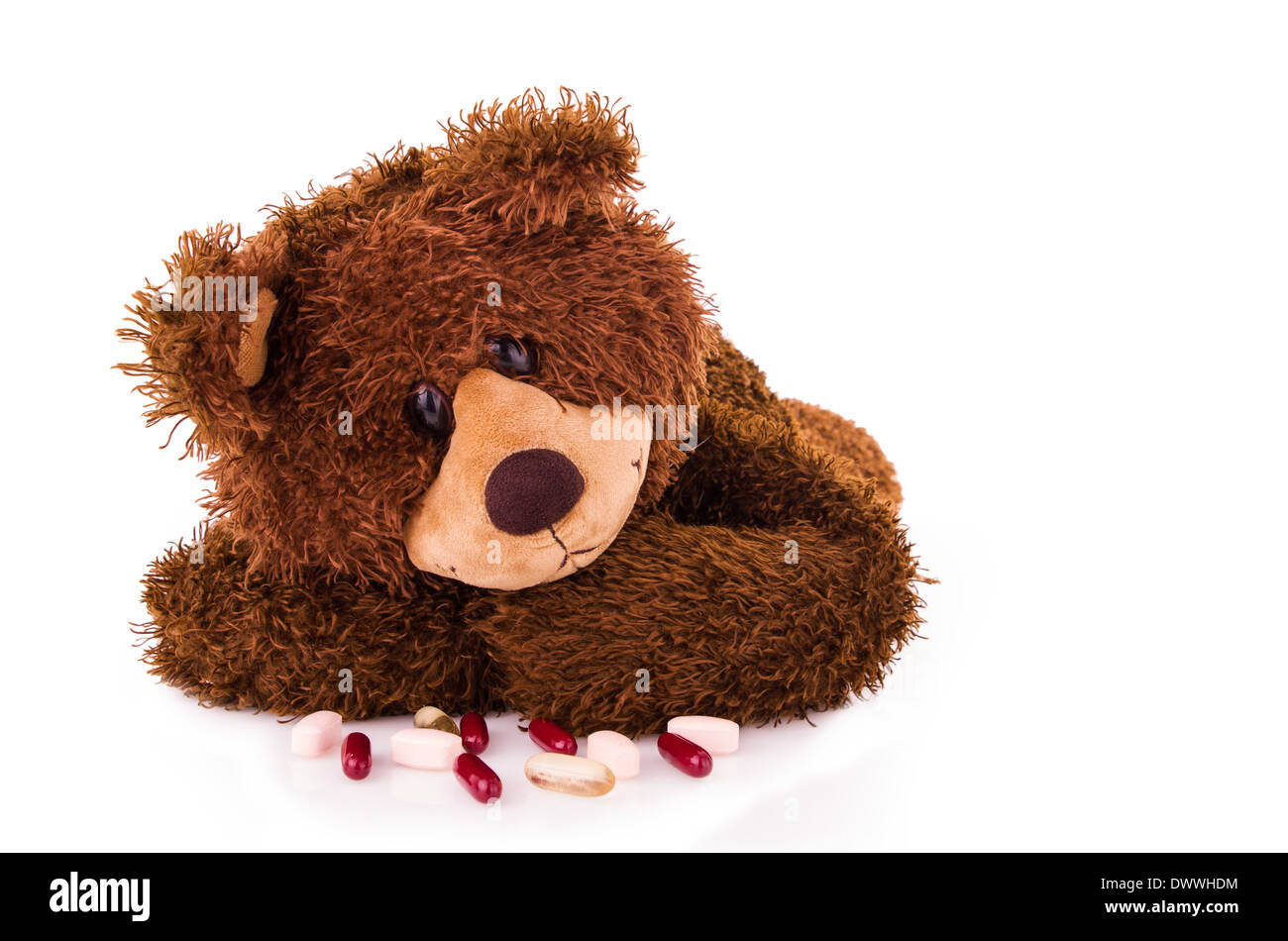 bear taking tablets Stock Photo - Alamy