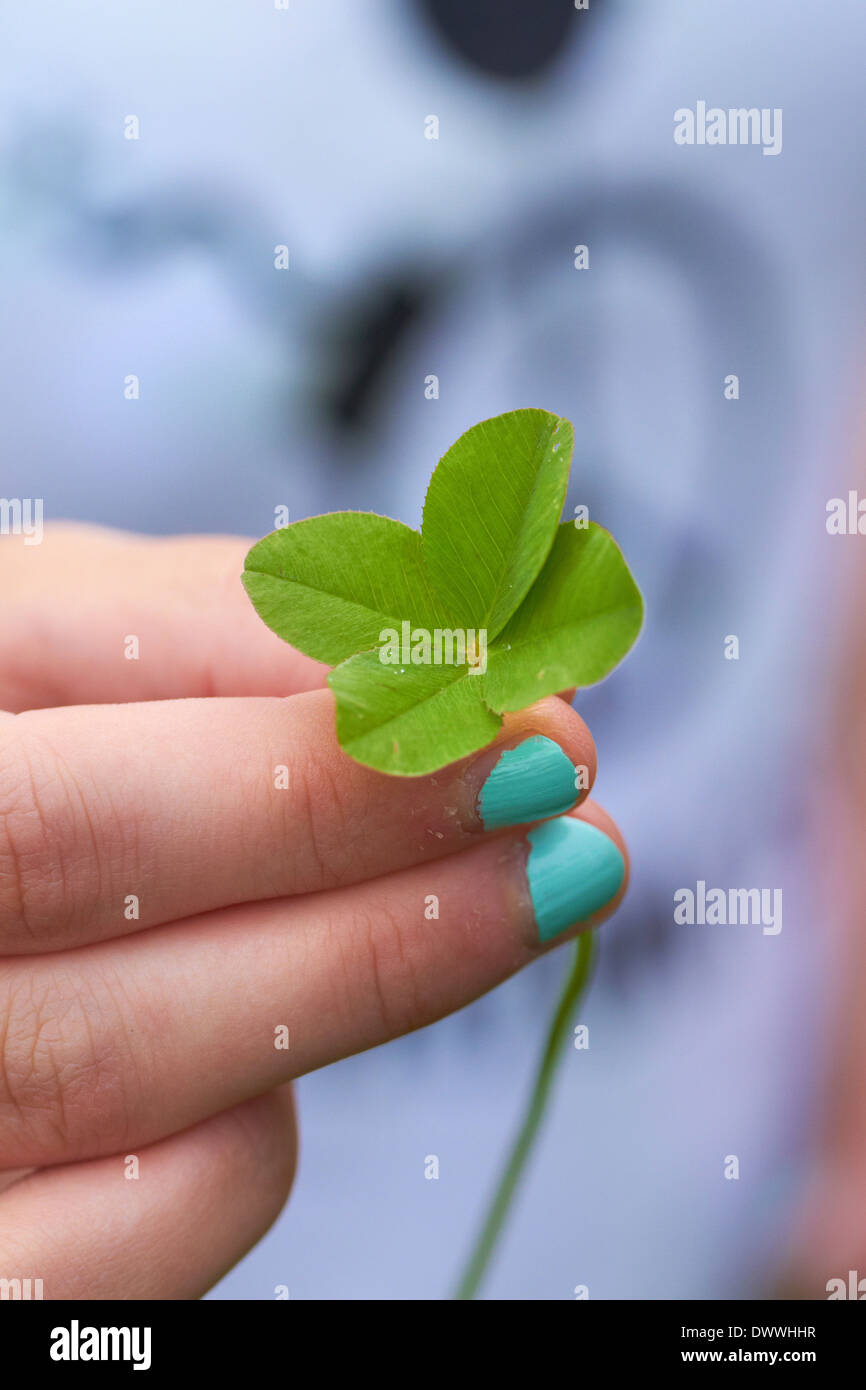 Leaf Clover High Resolution Stock Photography and Images - Alamy
