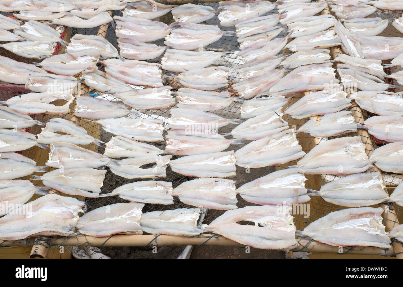 Fish drying on rack at Food Market in Duong Dong Phu Quoc Island ...