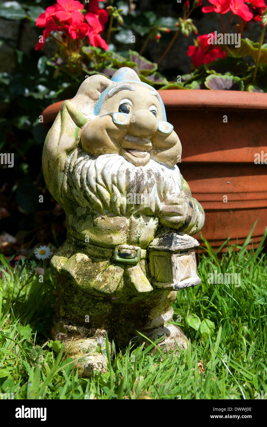 an old scruffy garden gnome Stock Photo - Alamy