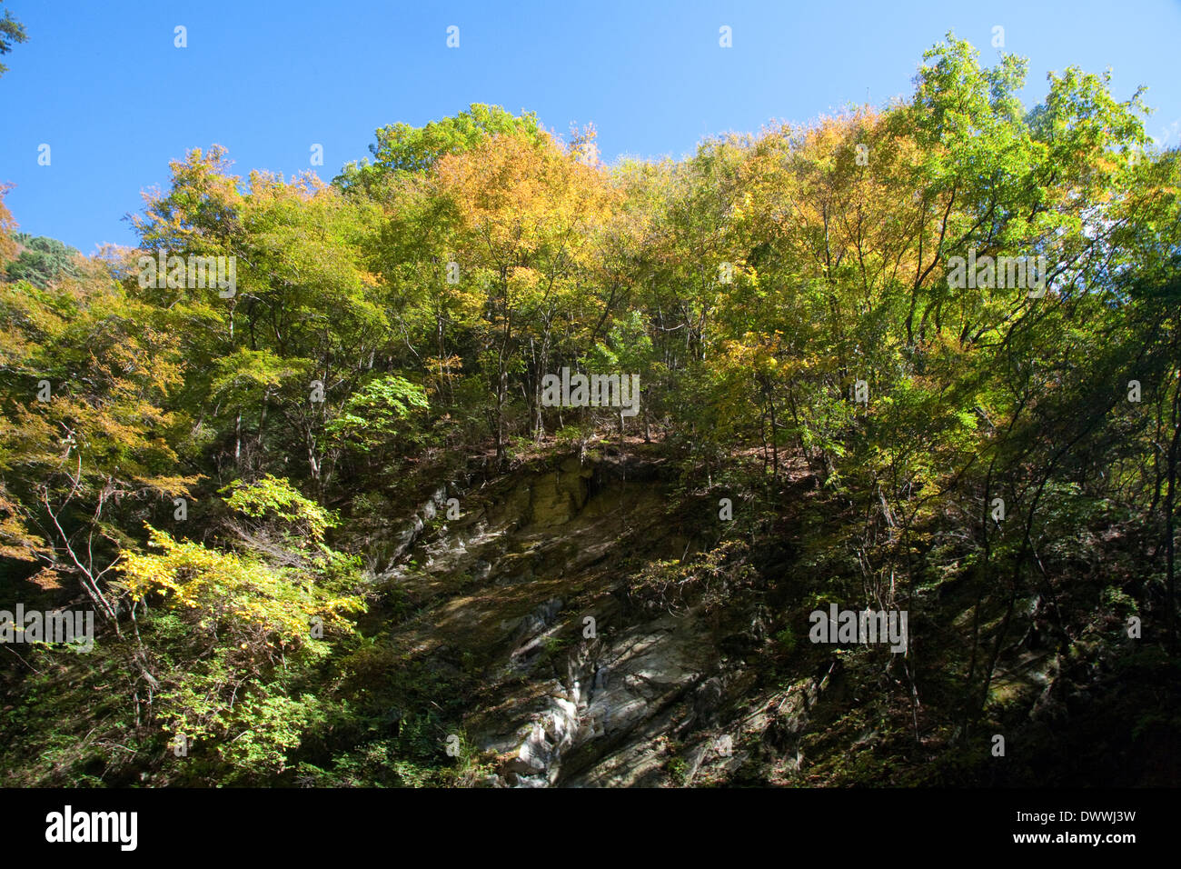 Japan canyon hi-res stock photography and images - Alamy
