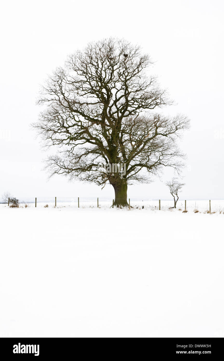Sutton bank Cut Out Stock Images & Pictures - Alamy