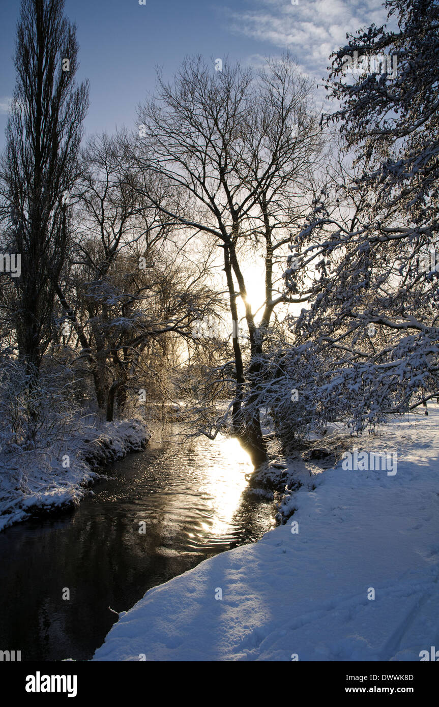 Cod Beck flowing between snow-covered tree-lined banks on a bright ...