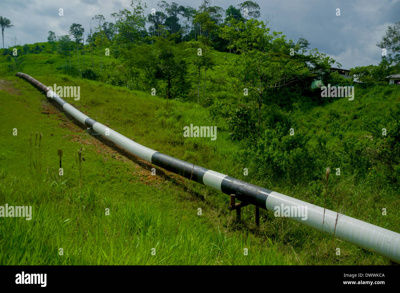 Trans-Andean oil pipeline, Ecuador, it links oilfields in the Amazon ...