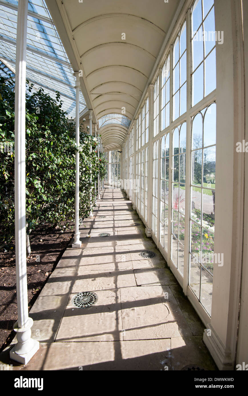 Wollaton hall interior hi-res stock photography and images - Alamy