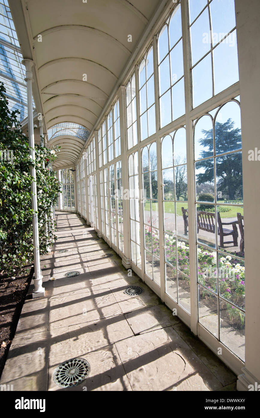 Wollaton hall interior hi-res stock photography and images - Alamy