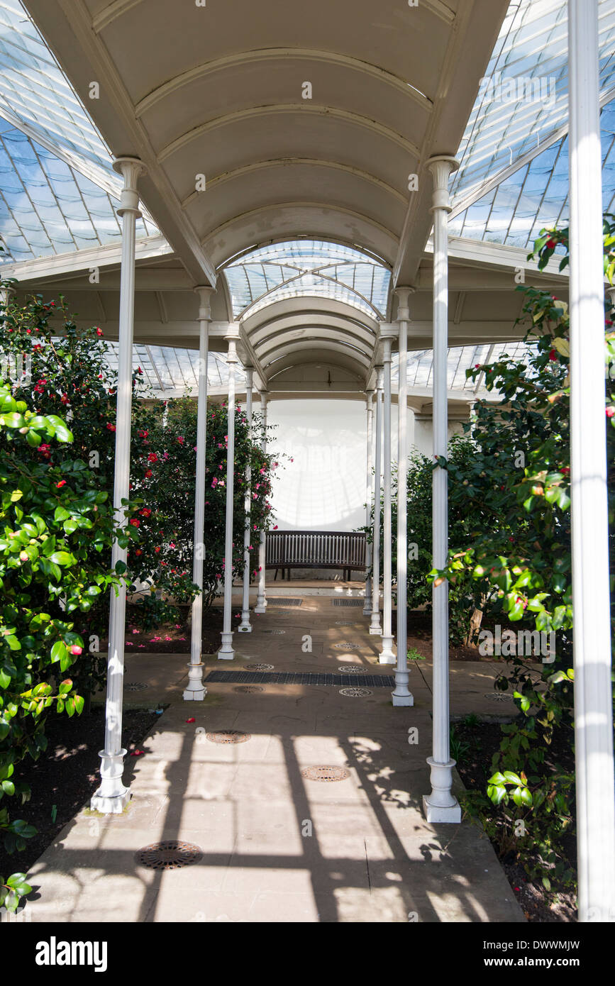 Wollaton hall interior hi-res stock photography and images - Alamy