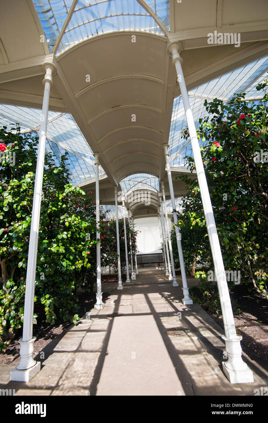 Wollaton Hall Interior High Resolution Stock Photography and Images - Alamy