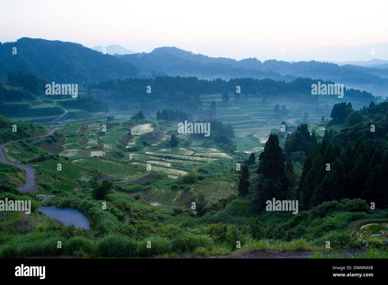 Japan rice fields hi-res stock photography and images - Alamy