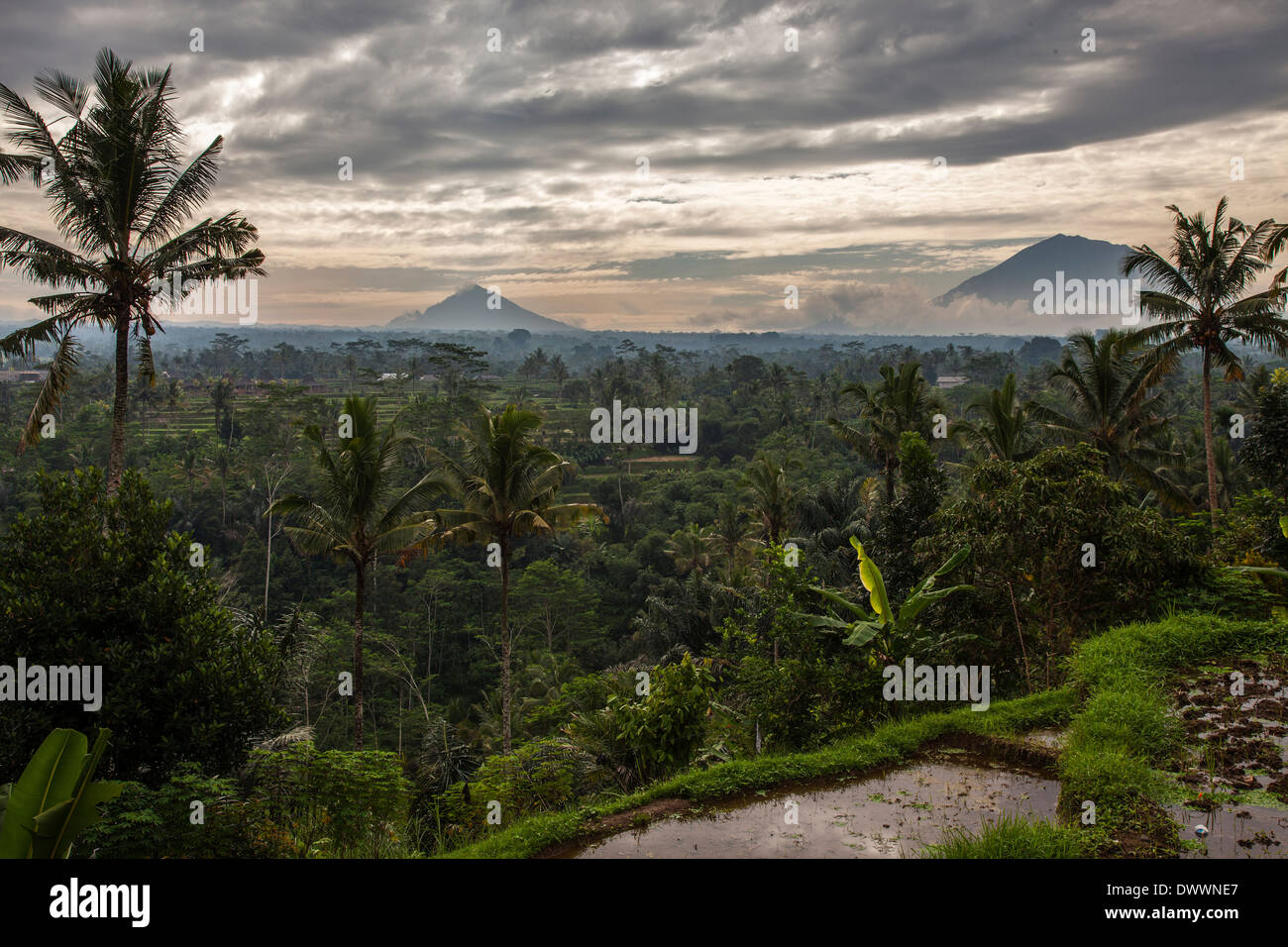 Volcanoes and rice paddies hi-res stock photography and images - Alamy