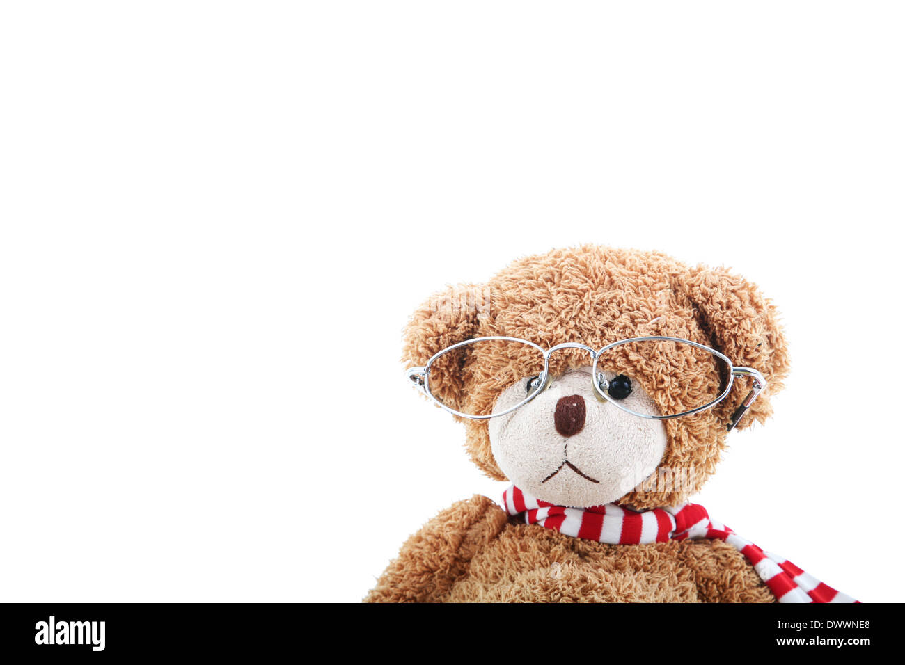 Clever teddy bear on a white background with glasses Stock Photo - Alamy