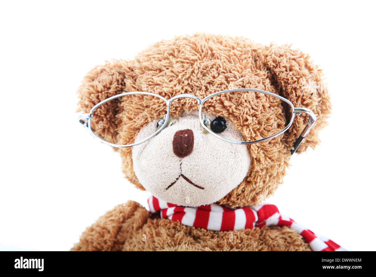 Clever teddy bear on a white background with glasses Stock Photo - Alamy